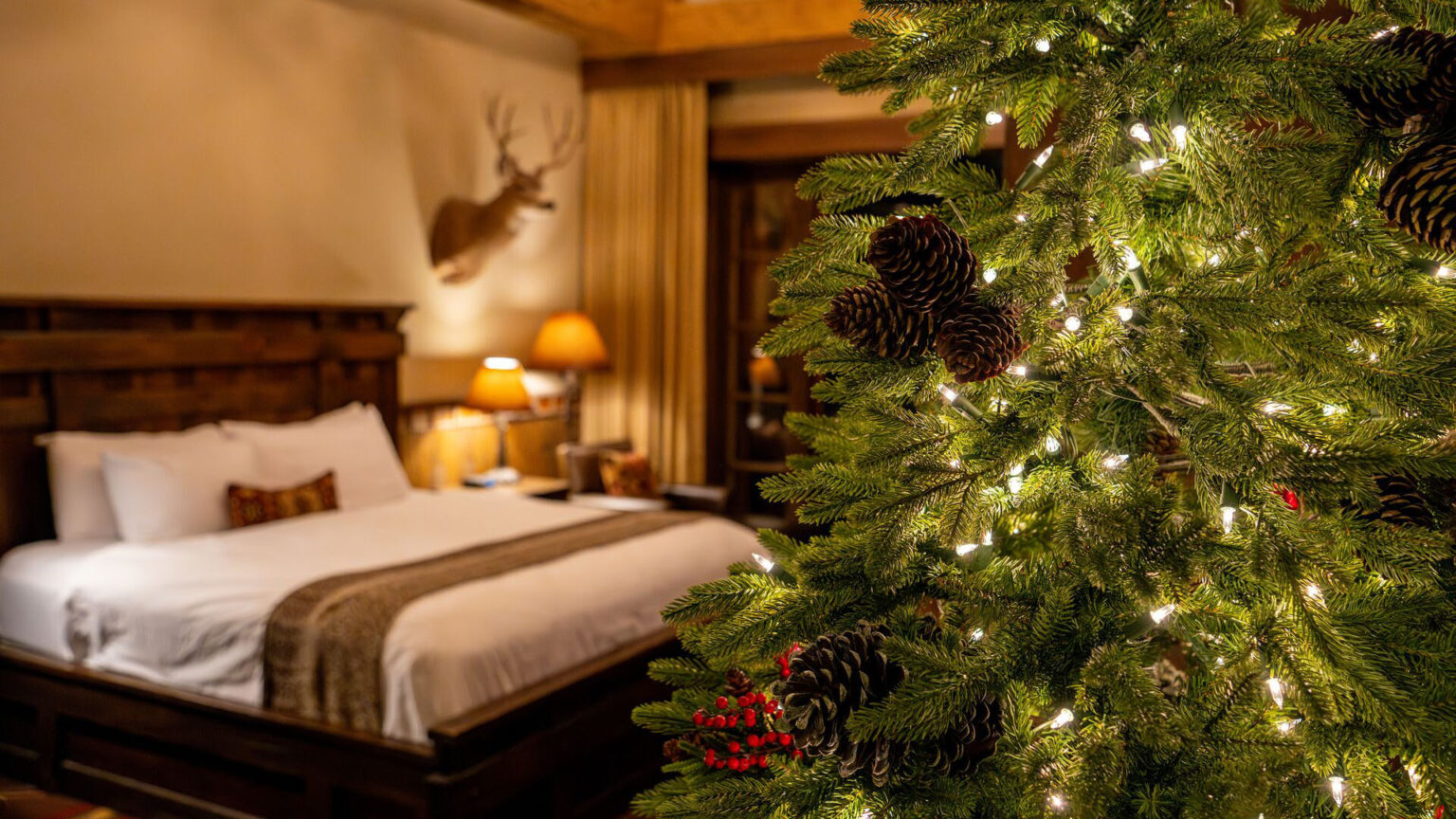 Big Cypress Lodge | Outdoor-Themed Luxury Hotel | Memphis, TN